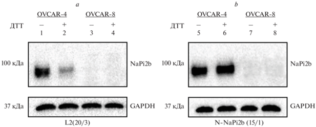 Биотехнология. T. 38, Номер 5, 2022