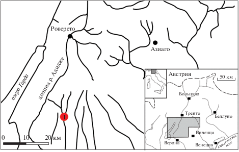 Палеонтологический журнал. Номер 2, 2021